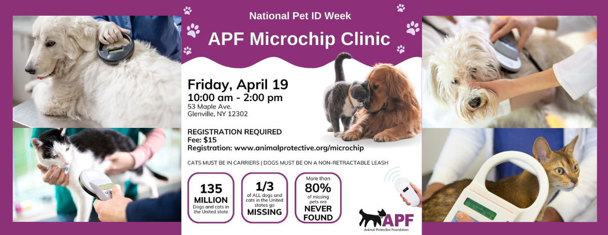 APF Microchip Clinic